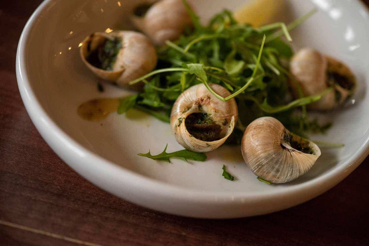 FIVE FRENCH SNAILS Relentless FIVE FRENCH SNAILS Relentless